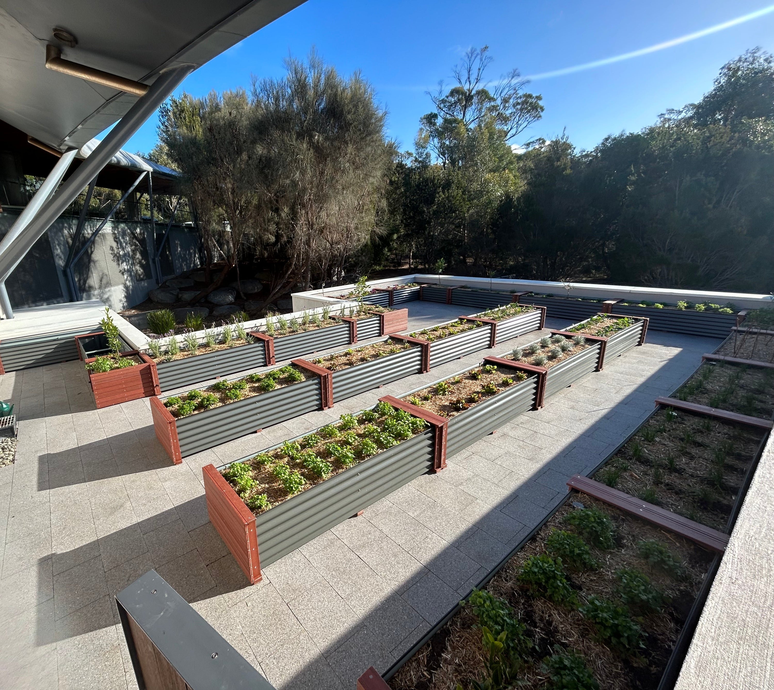 Wicking Australia | Self-Watering Planters & Sustainable Gardening